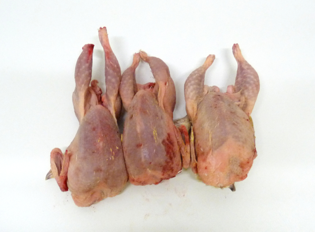 Cailles PAC x 10 pièces 2.5 kg (Origine France) - Les Producteurs Réunis